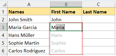 Master Excel Data Entry with Flash Fill –with 5 Examples